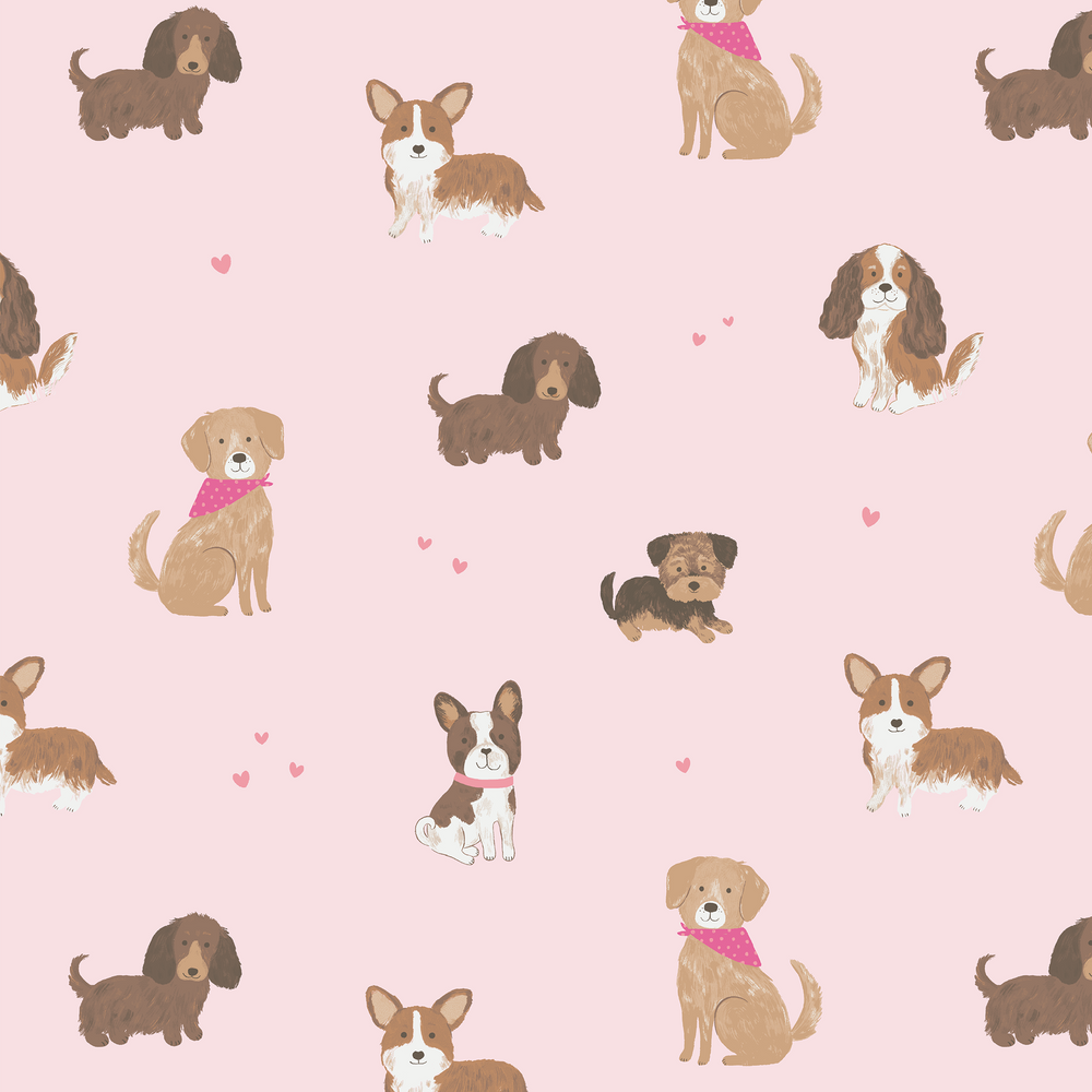 Cats, Dogs and Dinos – Angel Dear