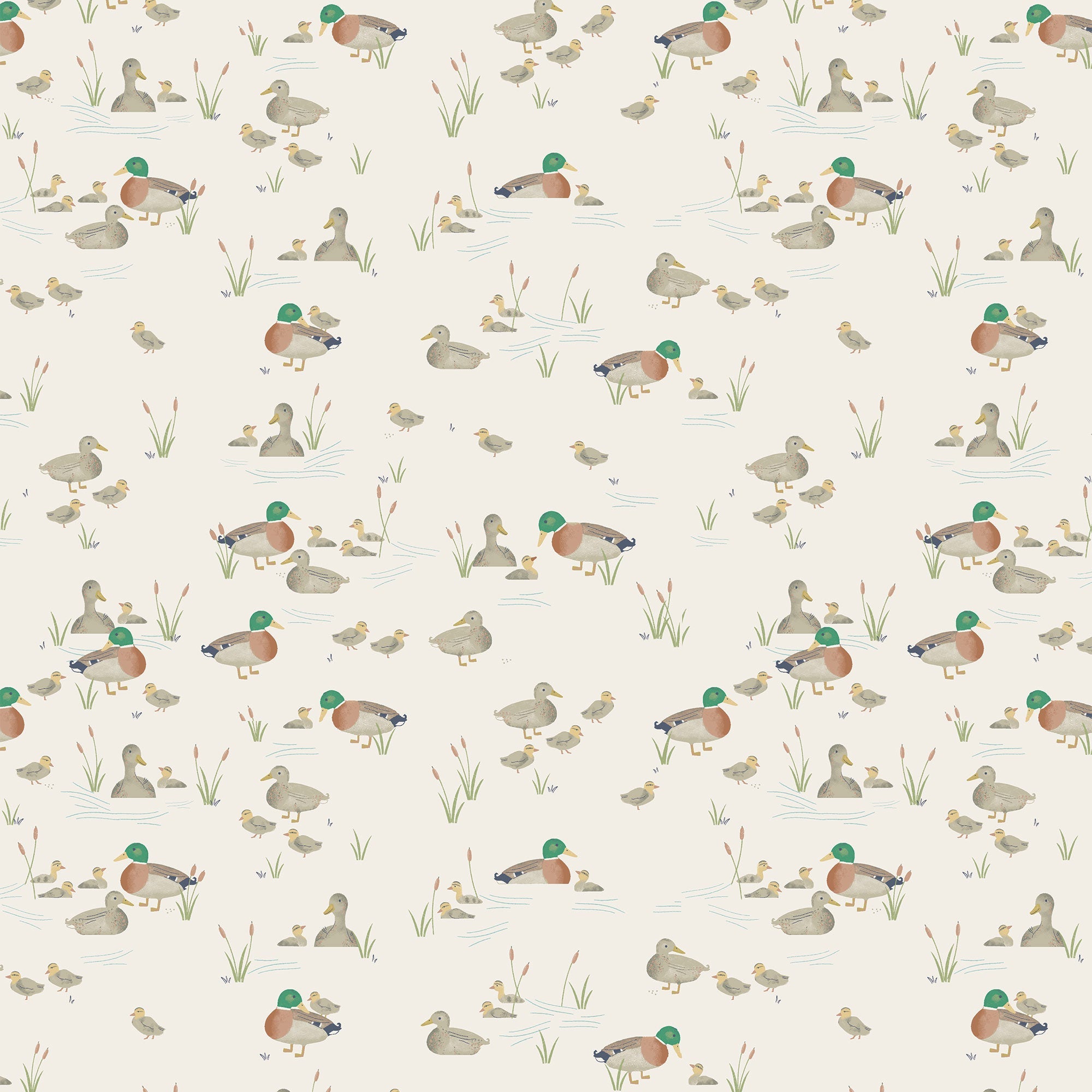 Ducking Families – Angel Dear